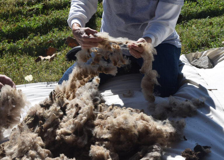 Can you needle felt unwashed wool? - The Needle Felter